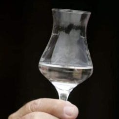 Receta de cóctel piscola chilena: Clásico combinado nacional - Comidas ...