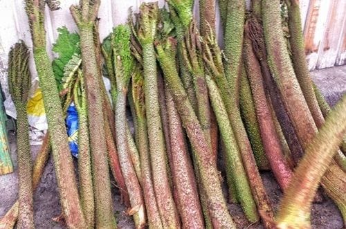 Receta de pebre de nalca: Ideal para acompañar tus platos favoritos ...