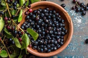 Receta de mermelada y galletas de maqui: Una dulce tradición chilena ...