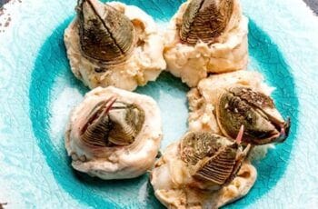 Receta de ponche de picorocos chilenos: Cóctel marino reponedor y ...